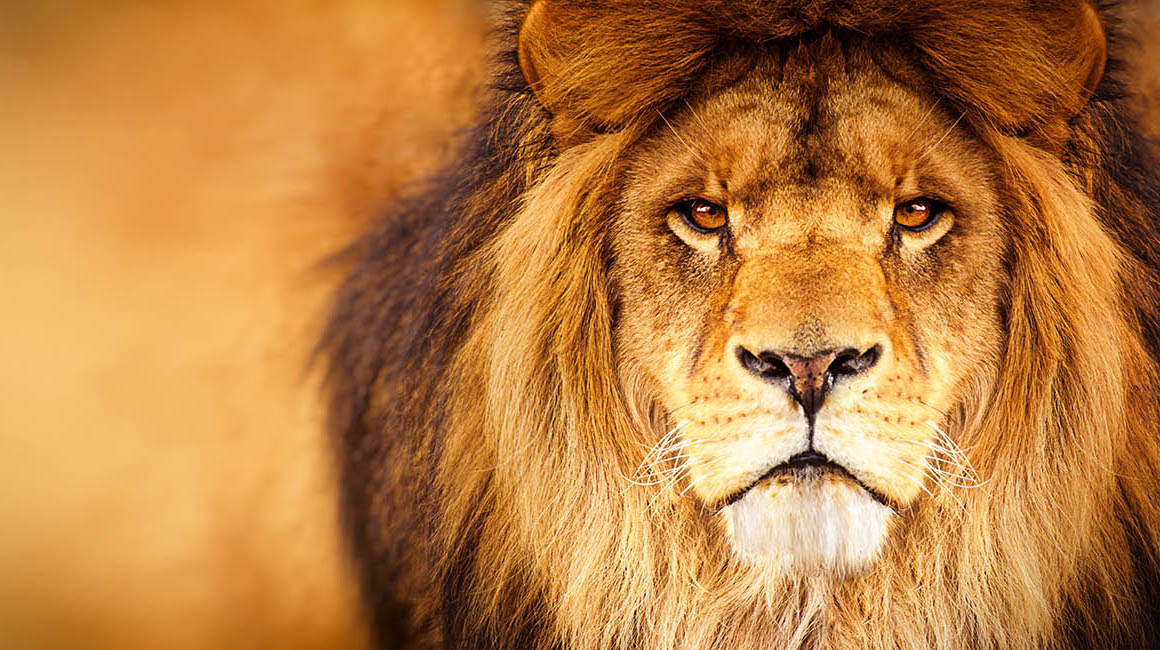 Seuling Digital | Creating value.